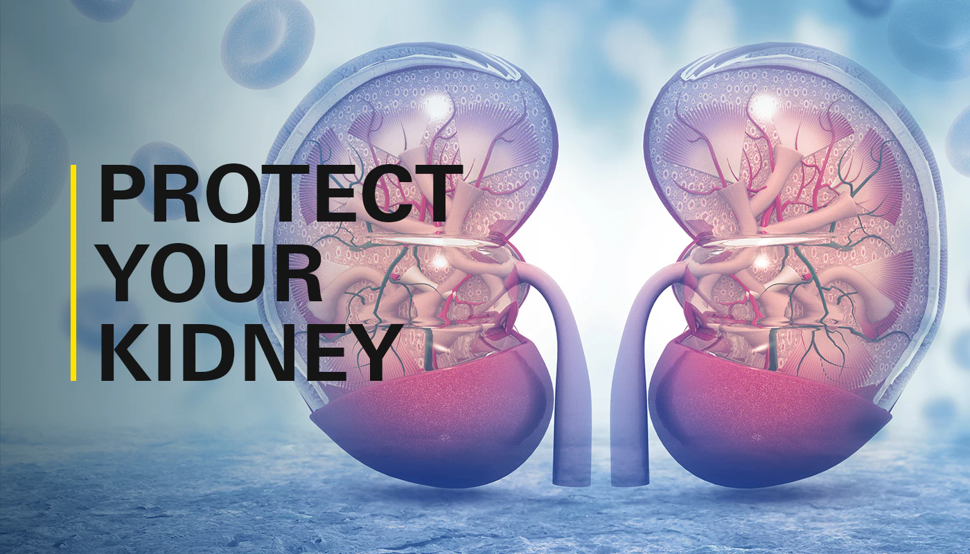 Proect Your Kidney | What is Chronic Kidney Disease (CKD)